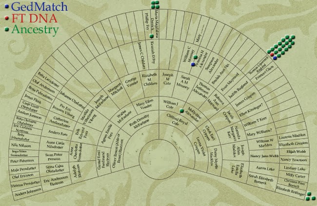 Scrapping My Family History: DNA Fan Chart