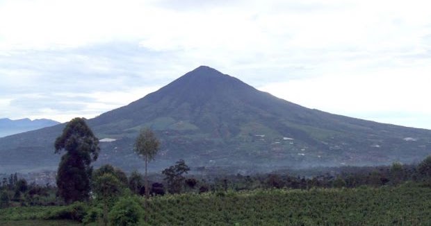 Jalur Pendakian Gunung Cikuray Dari Bandung Diminati Pendaki ...