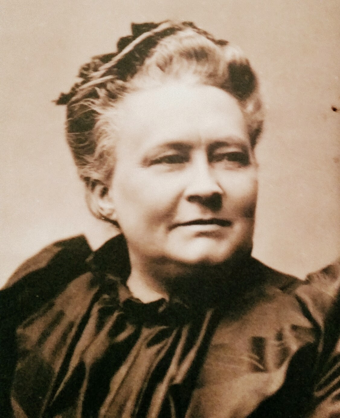 Minna Canth: Salakari