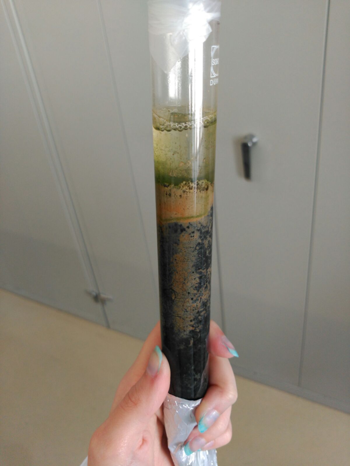 Winoblog: Following weeks of our Winogradsky Column. Group A5