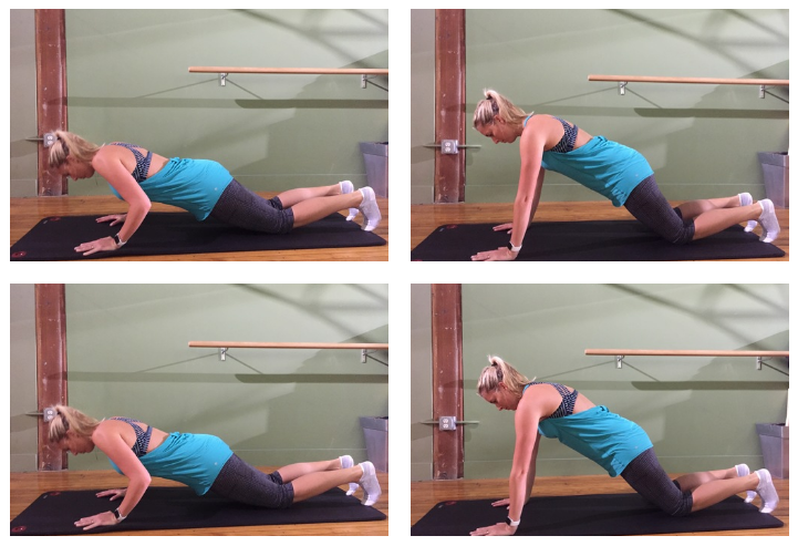 Top 5 Fridays! 5 Ways to Rehab the Scapula in Pilates | Modern Manual ...