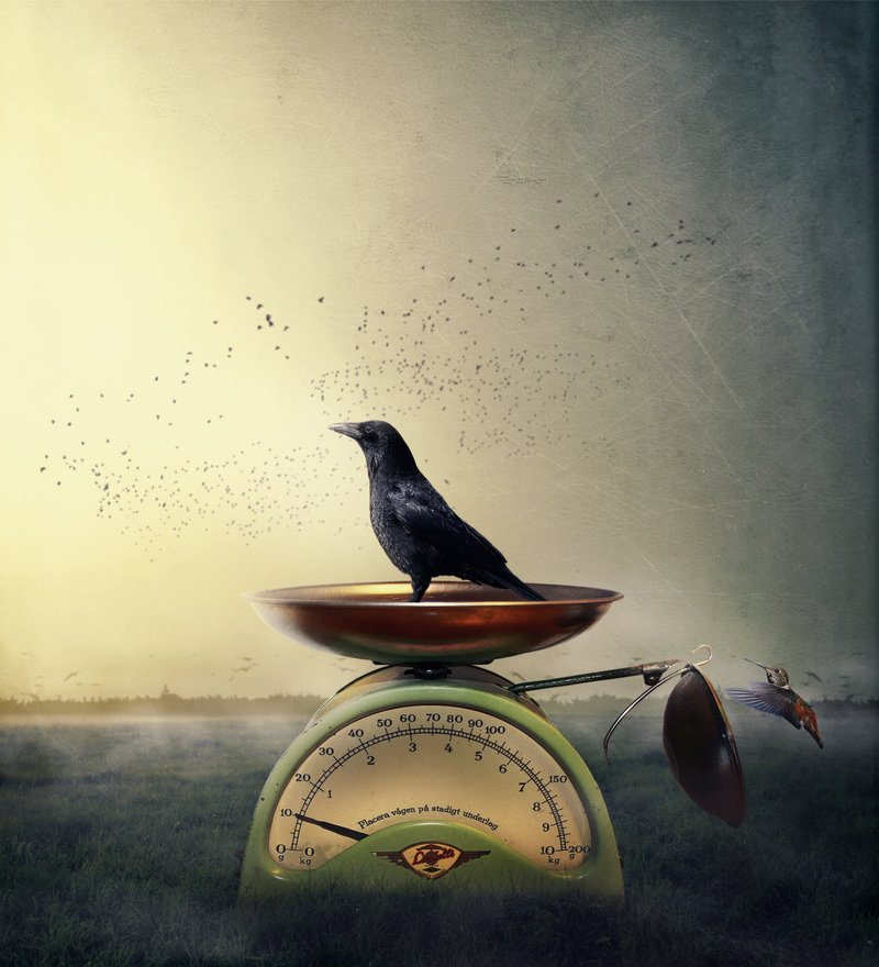 Coco 的美術館: 來自荷蘭的年輕插畫家Logical Mess