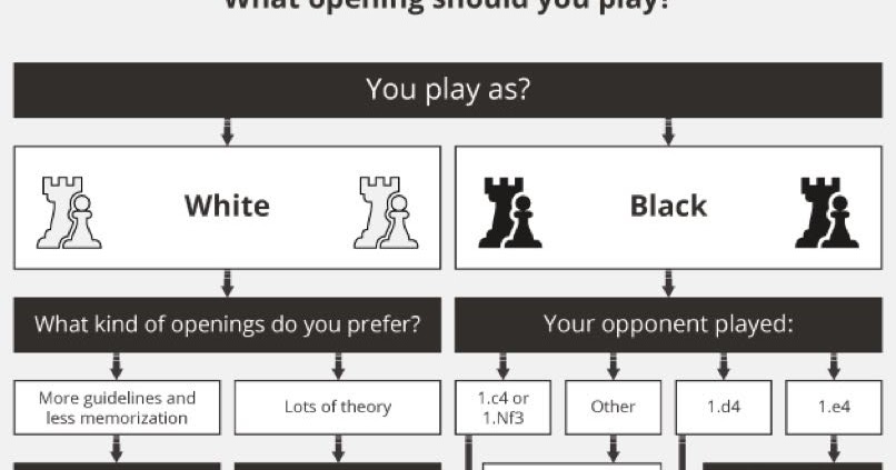 A Year Of Chess: An Interesting Flowchart