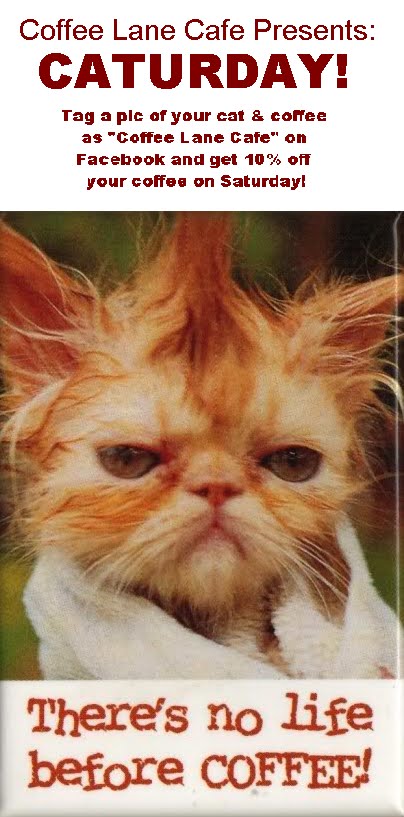 Coffee Lane Cafe: Saturday is Caturday!