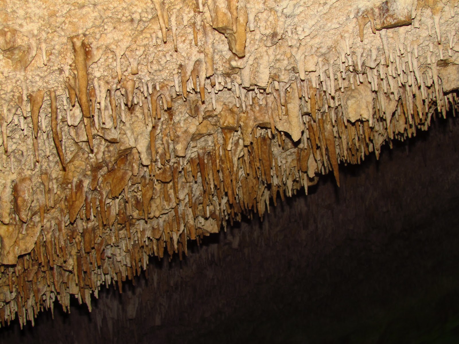 Aposentada ativa: POEMAS... NATURALMENTE