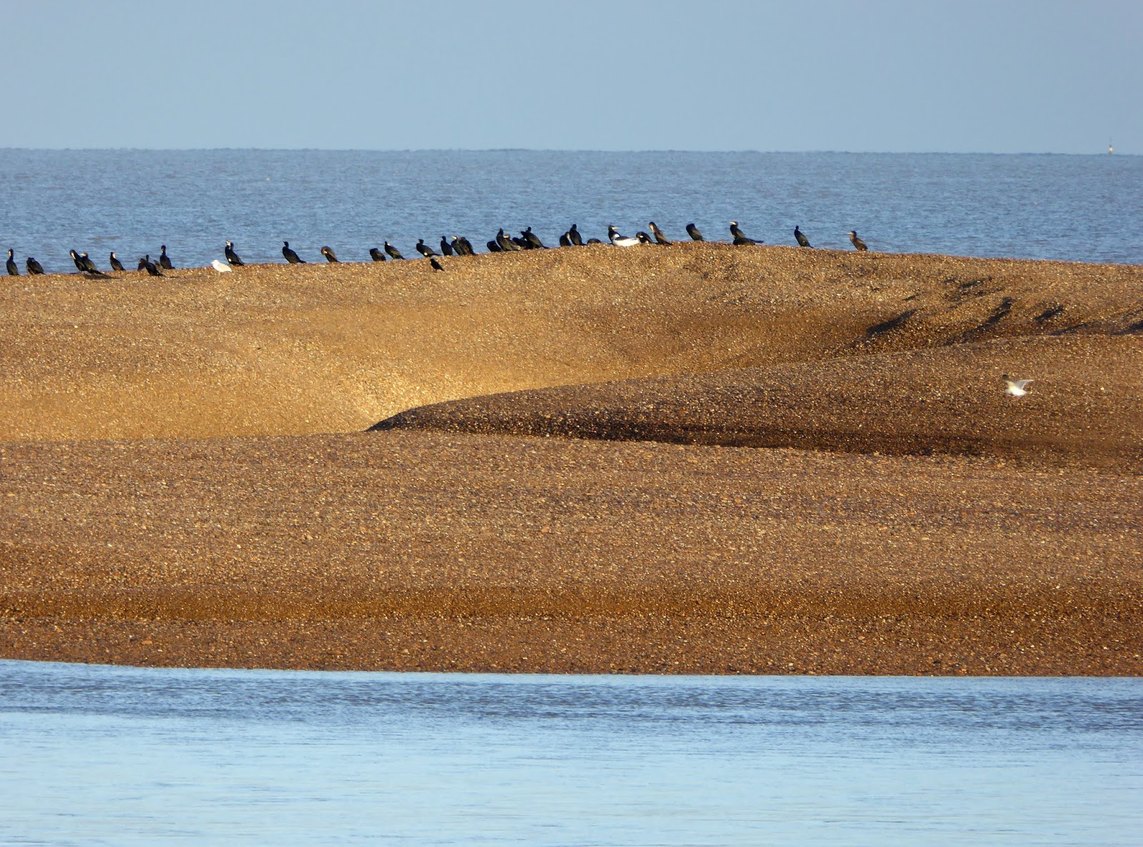 Wild and Wonderful: Shingle Street, a Wild Stretch of Suffolk Coast