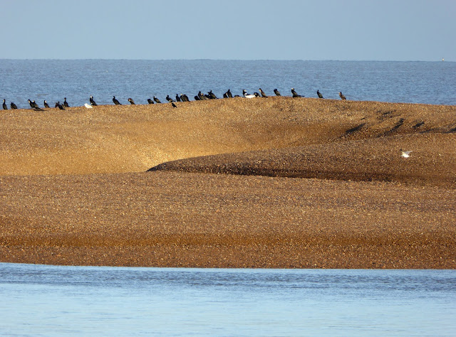 Wild and Wonderful: Shingle Street, a Wild Stretch of Suffolk Coast