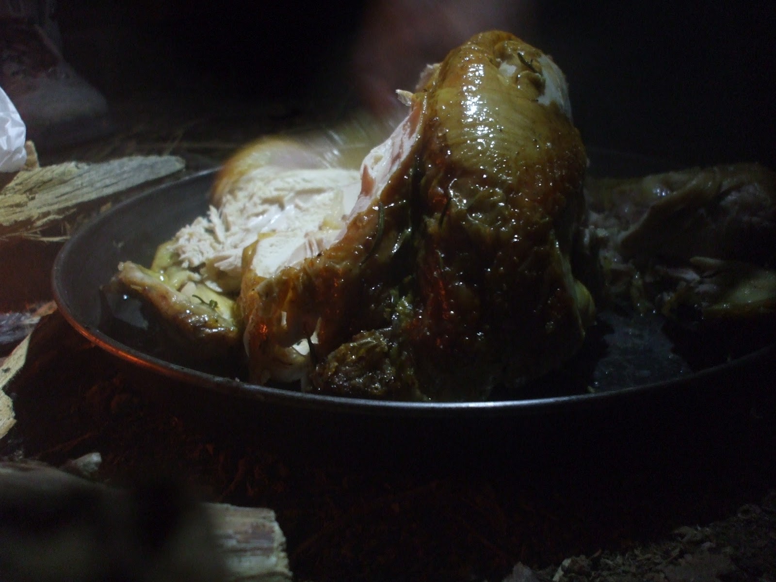 in search of the kiwi: roast chicken on a string
