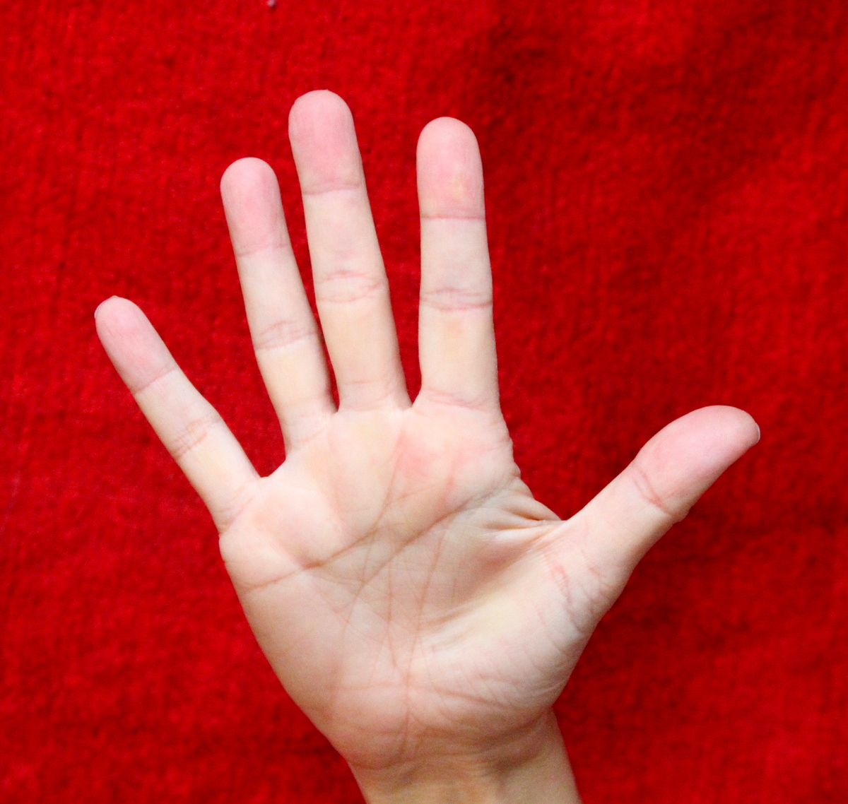 THE VIEW FROM FEZ: Talk to the Hand