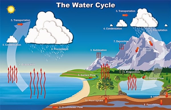 SIKLUS BEE (The Water Cycle) ~ BETANO DADULAS