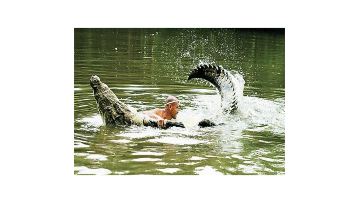depo: Costa Rica Chito and Pocho The Famous Crocodile Man v2