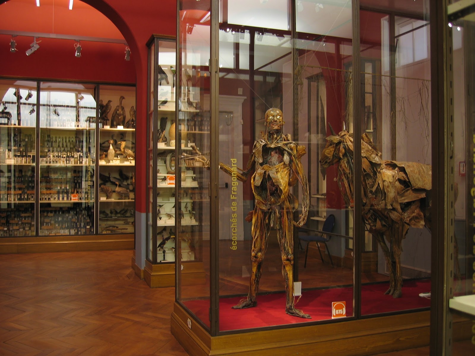EntreVoir: Le musée Fragonard - Maison Alfort