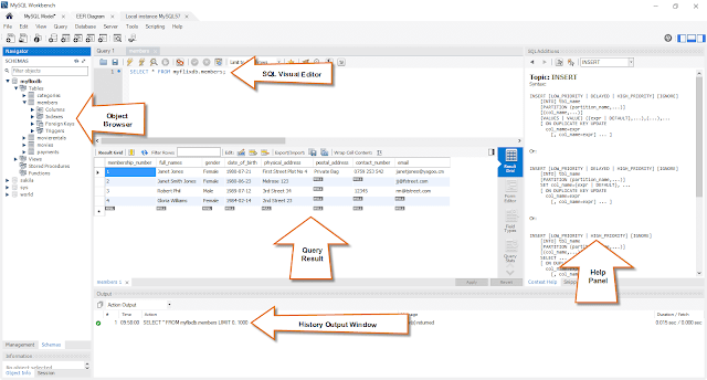 Database Programming Application