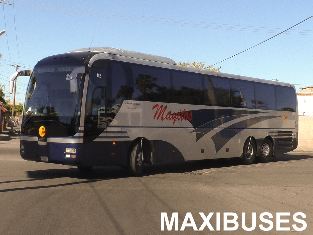 MAXIBUSES: AUTOBUSES LOS MAYITOS