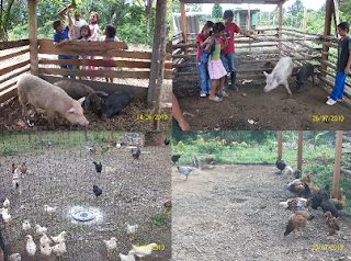 Agropecuaria : DEFINICION DE GRANJA INTEGRAL