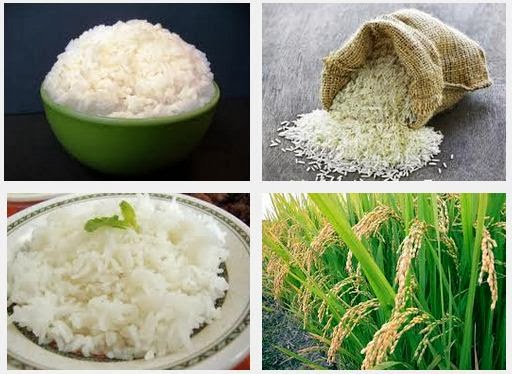 AGRICULTURE AND AGRICULTURAL INFORMATION: ABOUT RICE ( IN BANGLADESH )