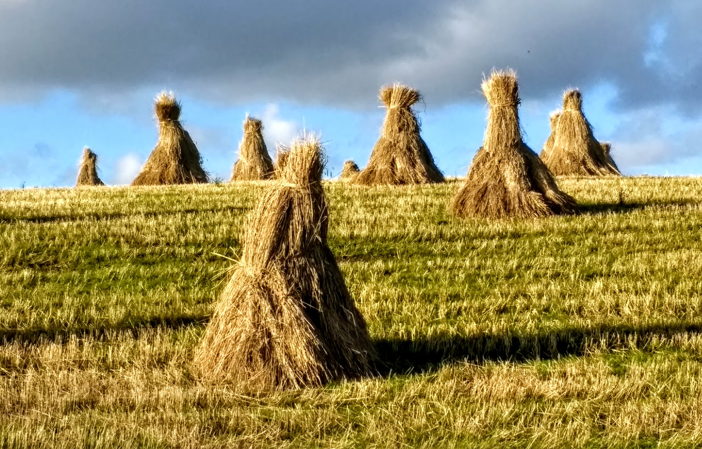 A Passion For Cards: Haystacks in Donegal