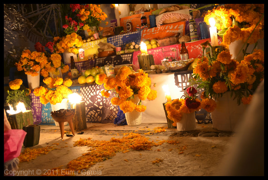 ExcursiFoto Hidalgo: :: Altares en Tezontepec de Aldama