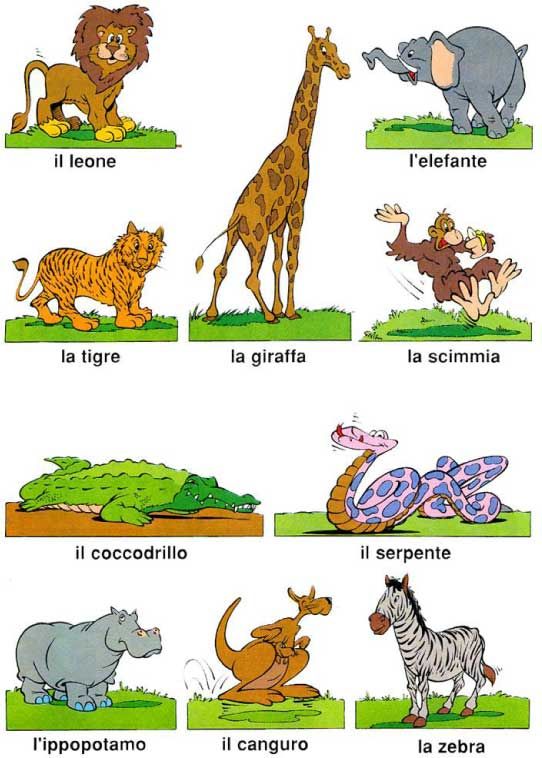 ITALIAN CULTURAL EXPERIENCE with Simona Albanese | SMALL TAILORED TOURS ...