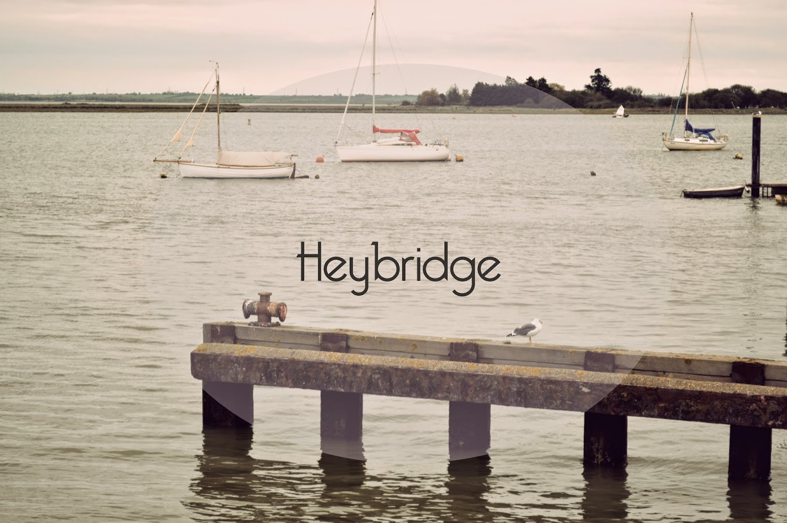 Book&aCuppa: Heybridge & Tiptree tea rooms