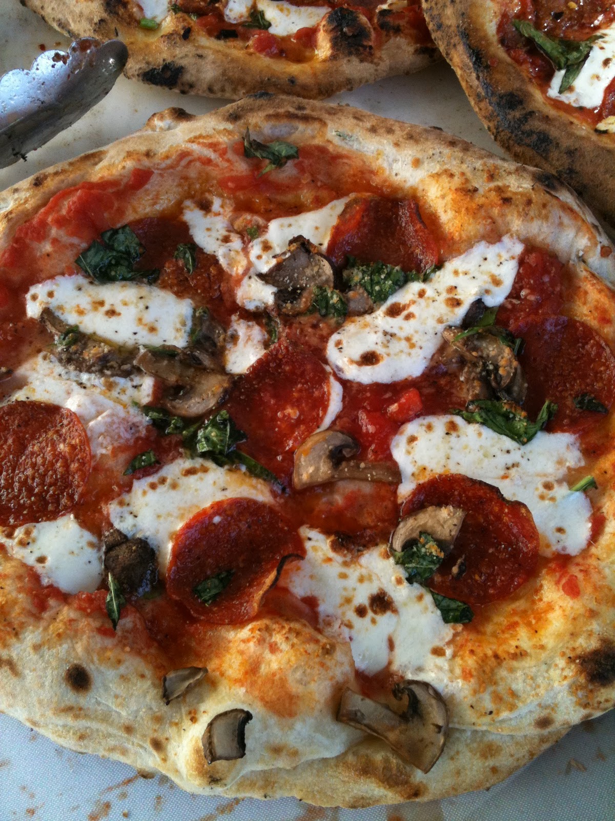 Pizza 900 Mobile wood fired italian pizzeria