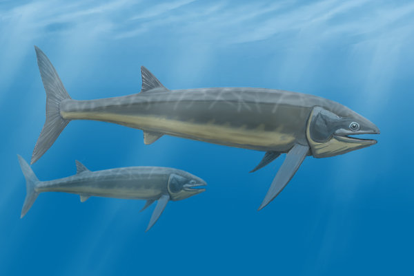 Los animales en la prehistoria: Animales prehistóricos con la letra B