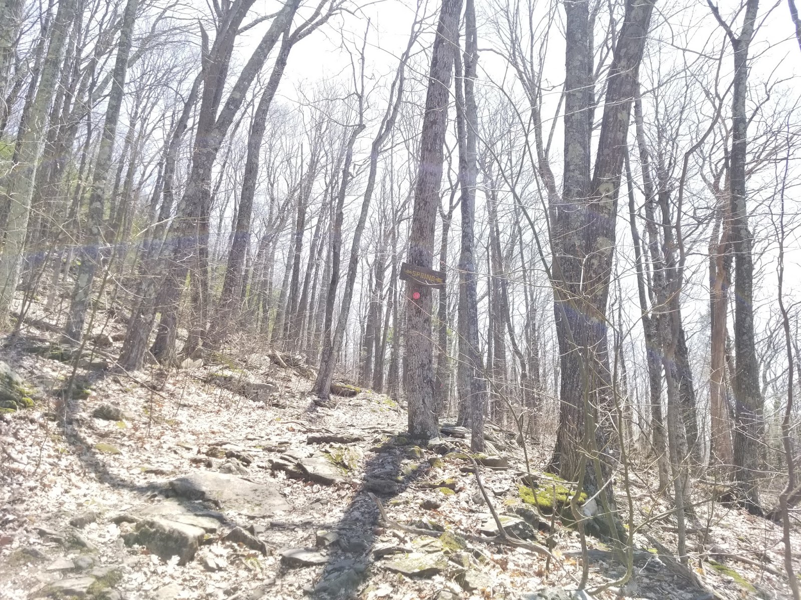 The Albany Hiker: Tramping up Tremper Mountain (Mt. Tremper)