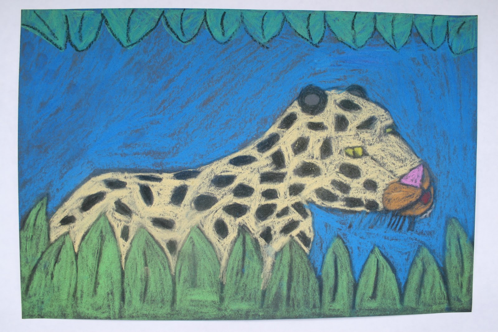 Tropical Rainforest Biome Drawing