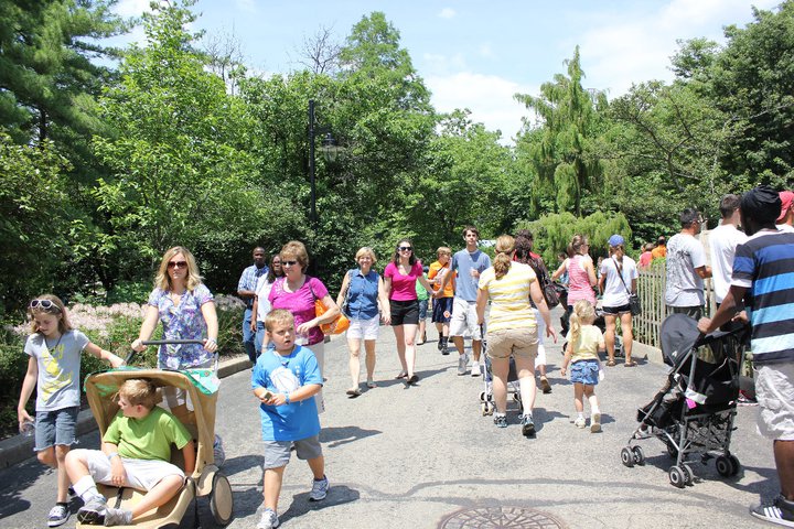 The Corner With a View: Goin' to the Zoo-Zoo-Zoo, How About You-You-You?