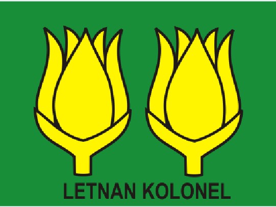 Singkatan Letkol, Istilah Pangkat Dalam TNI - druwo