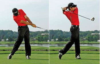 Biomechanics of the Golf Drive: Using biomechanical principles, what is ...