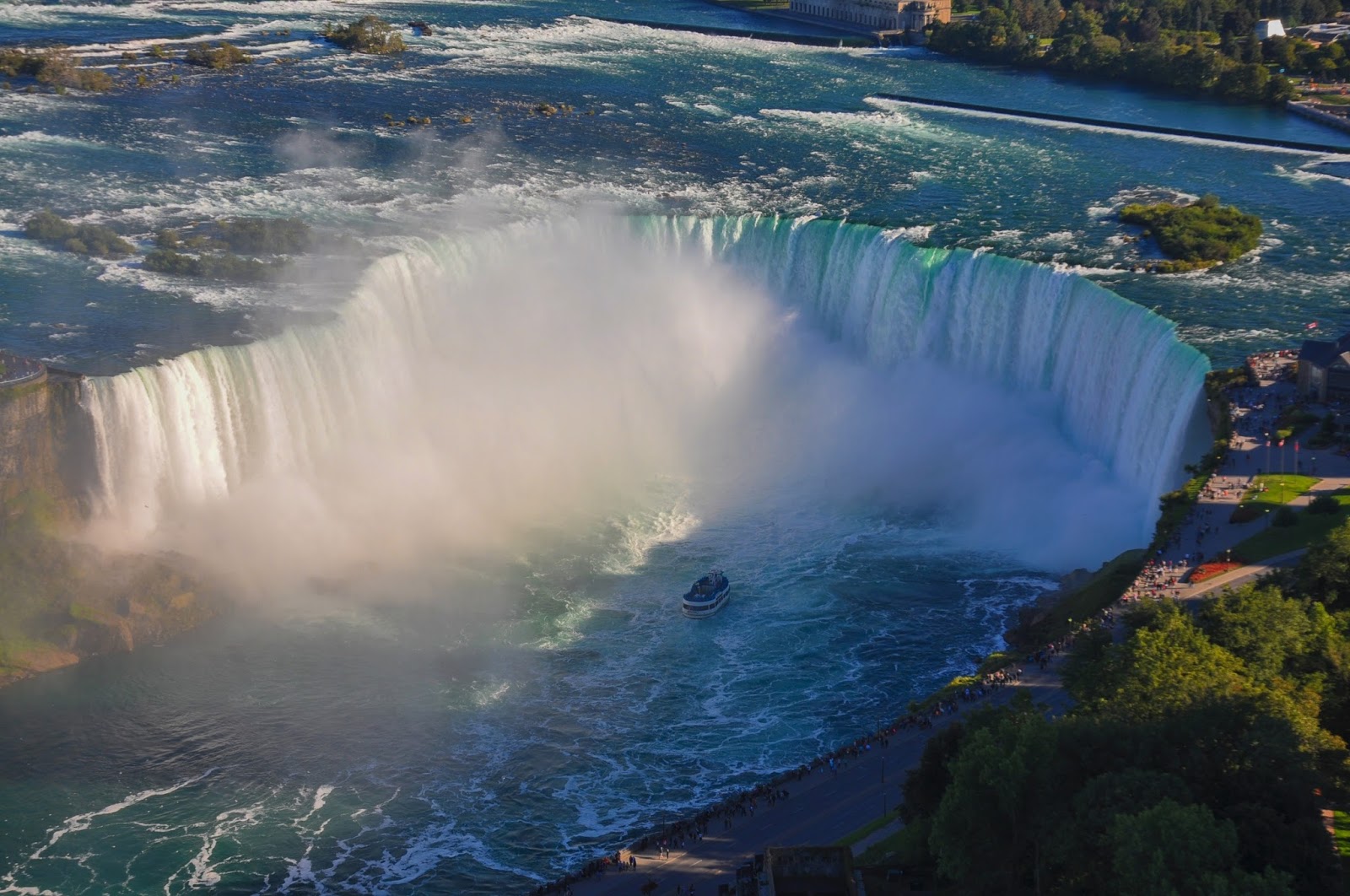 Canada. A voyage to wild nature in Canada, North America - Newfoundland ...