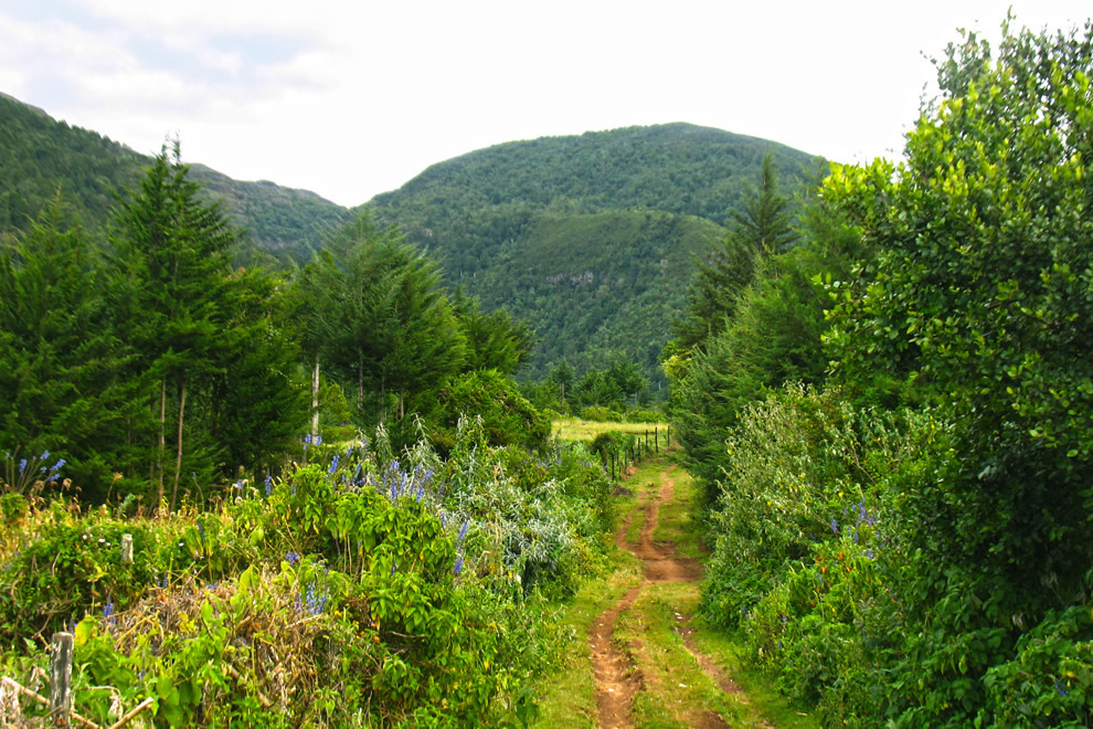 The Mischief, Fun, Serenity & Beauty Of Happy Valley: Memiors of Happy ...