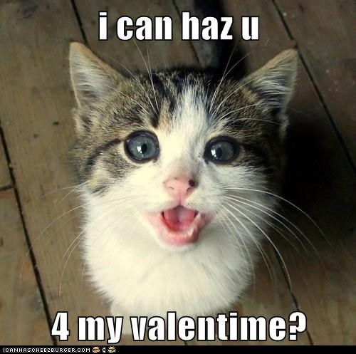 Pudicat Blog: Cat Humour