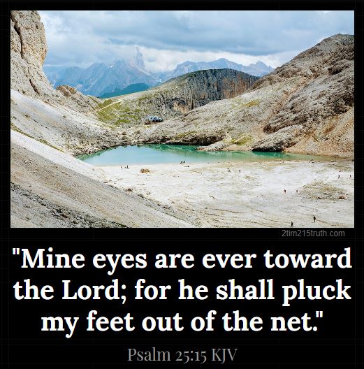 2 Timothy 2:15 Truth: Verse of the Day: Psalm 25:15 KJV