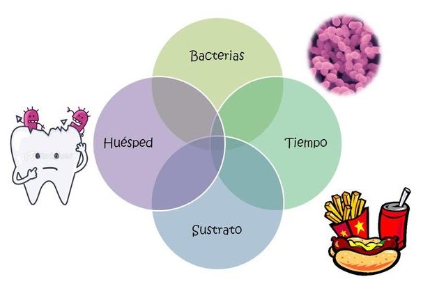 Estomatología Comunitaria: Caries