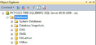 Koneksi Database Sql Server Dengan Visual Basic 6 - Pandai Visual Basic