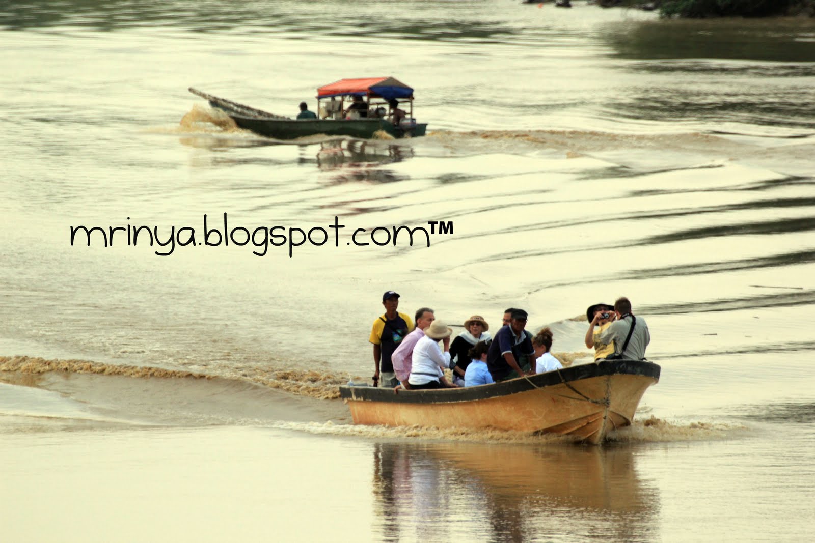 menoa kenyalang: Ashes of the Late Harvey Toub (Peace Corps Volunteer ...