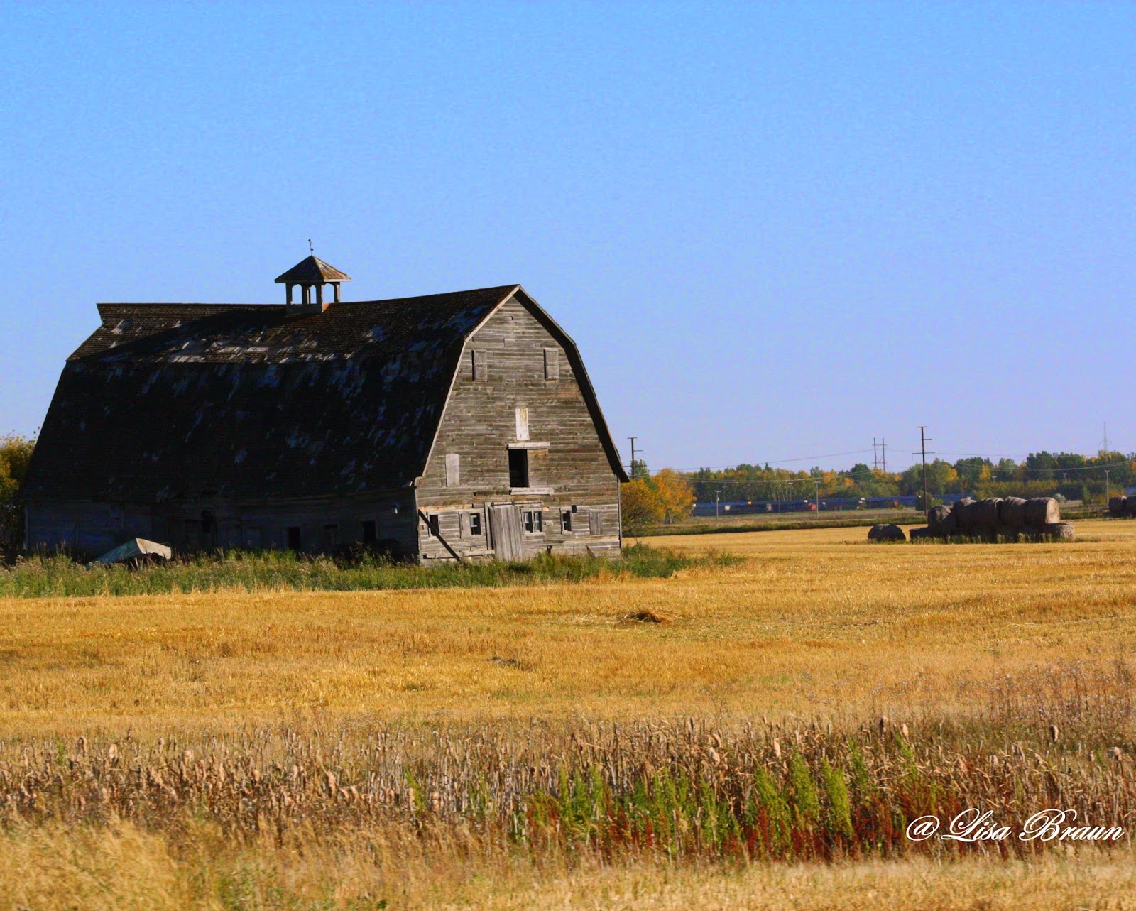 Photography by Lisa: 2016 Barren Beauty of the Saskatchewan Prairie Scenes