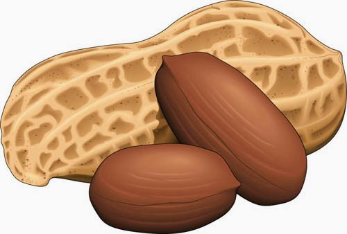 6 Manfaat Kacang Tanah Bagi Kesehatan Rickypedia
