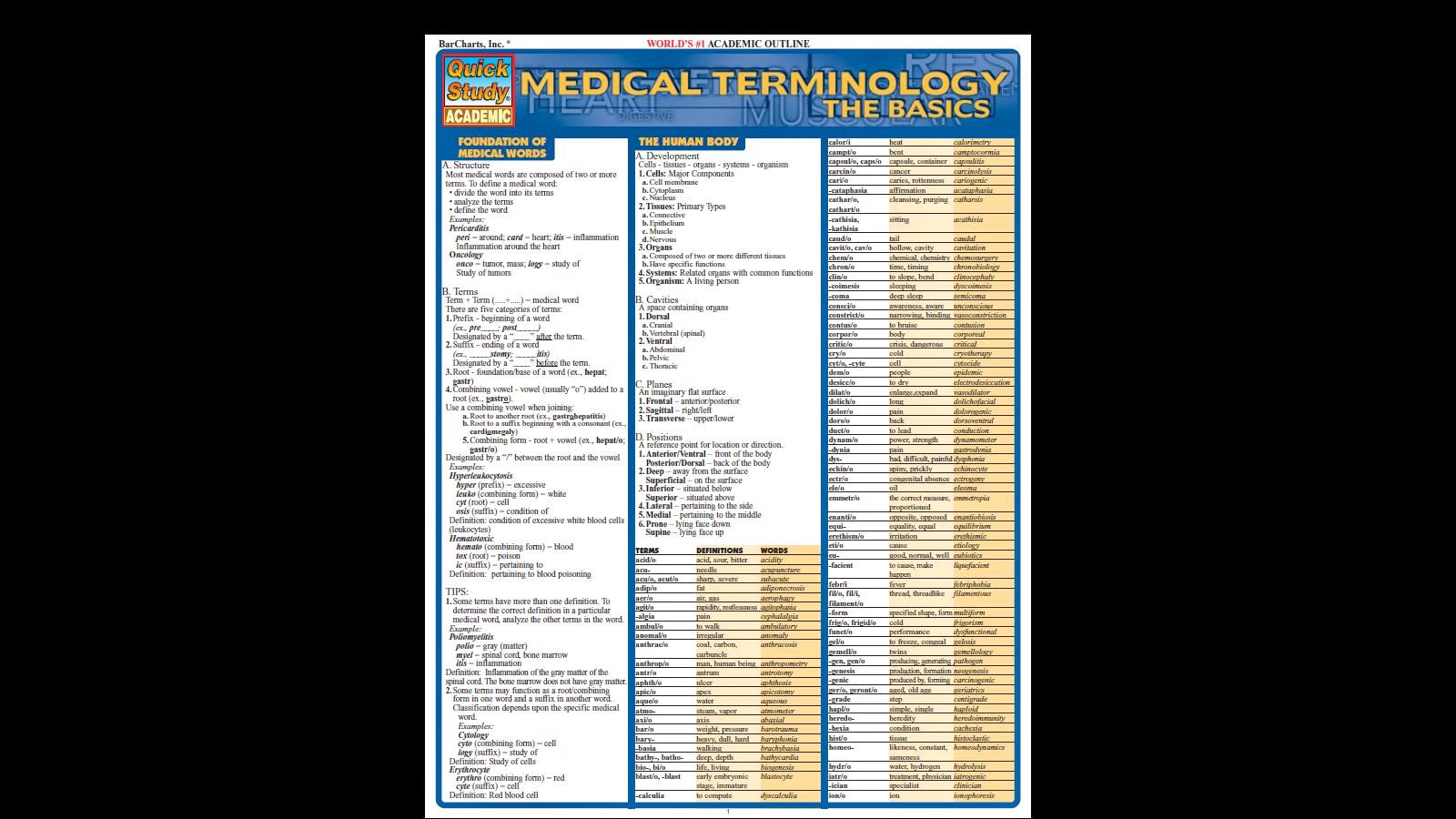 Medical Terminology - The Basics