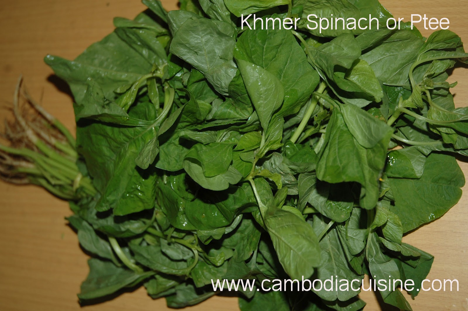 Food in Cambodia and Cuisine in Cambodia: Food Ingredients - Tropical ...