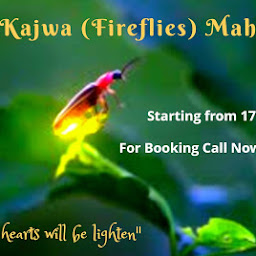 Kajwa Mahotsav / Fireflies Festival 2019