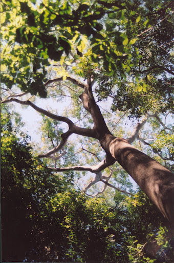 ECOSISTEMAS DE COSTA RICA: junio 2012