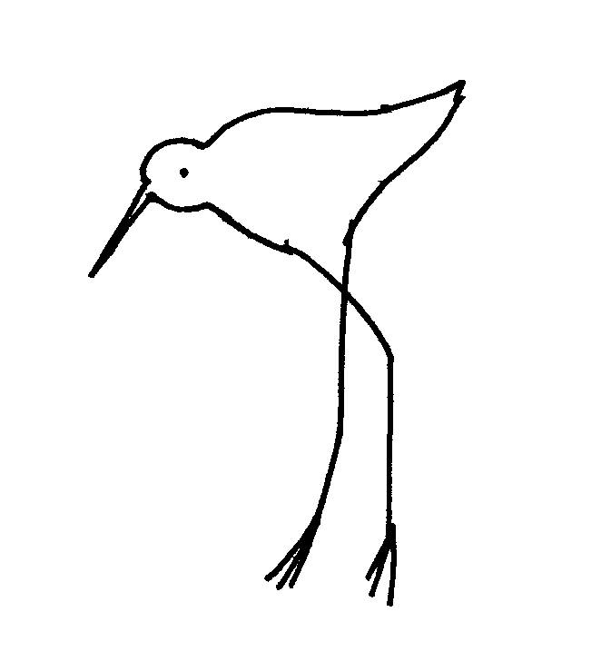 A Terminal Case of Whimsy: Bird Tattoos