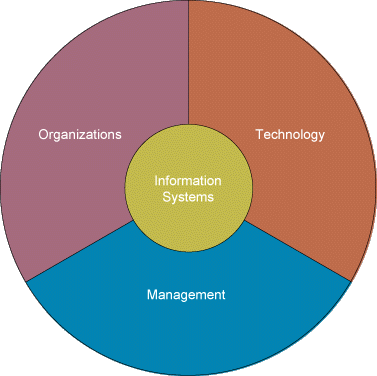 ICT Semester 2: week 4 information system