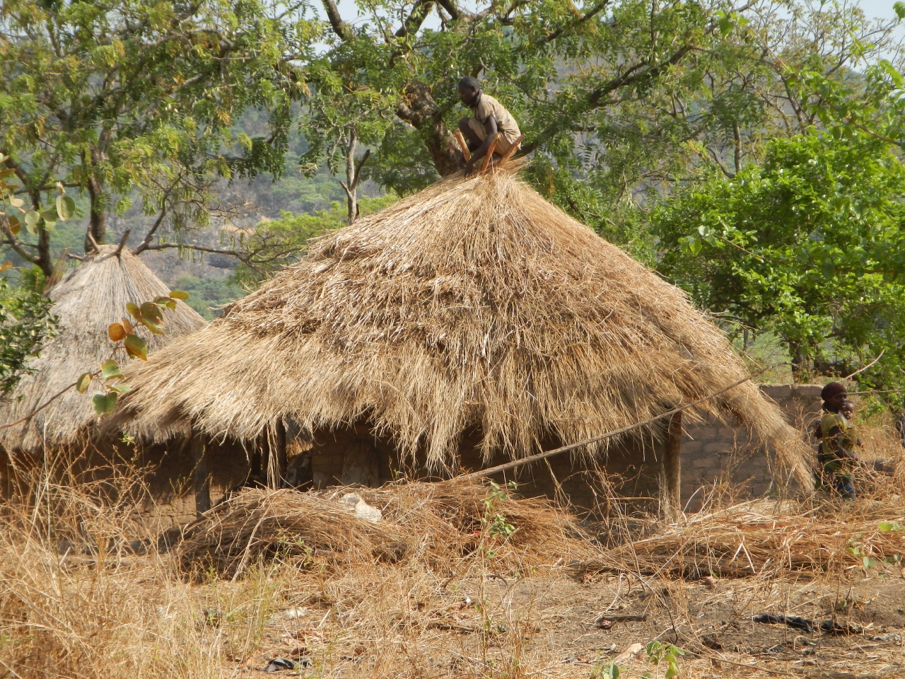 Jay in Nigeria 2013: Trip to Bali & Gashaka-Gumti National Park