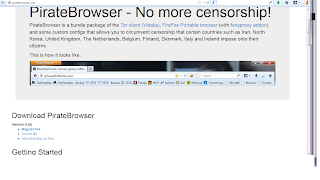 Pirate Browser ~ seguridad y anonimato para todos