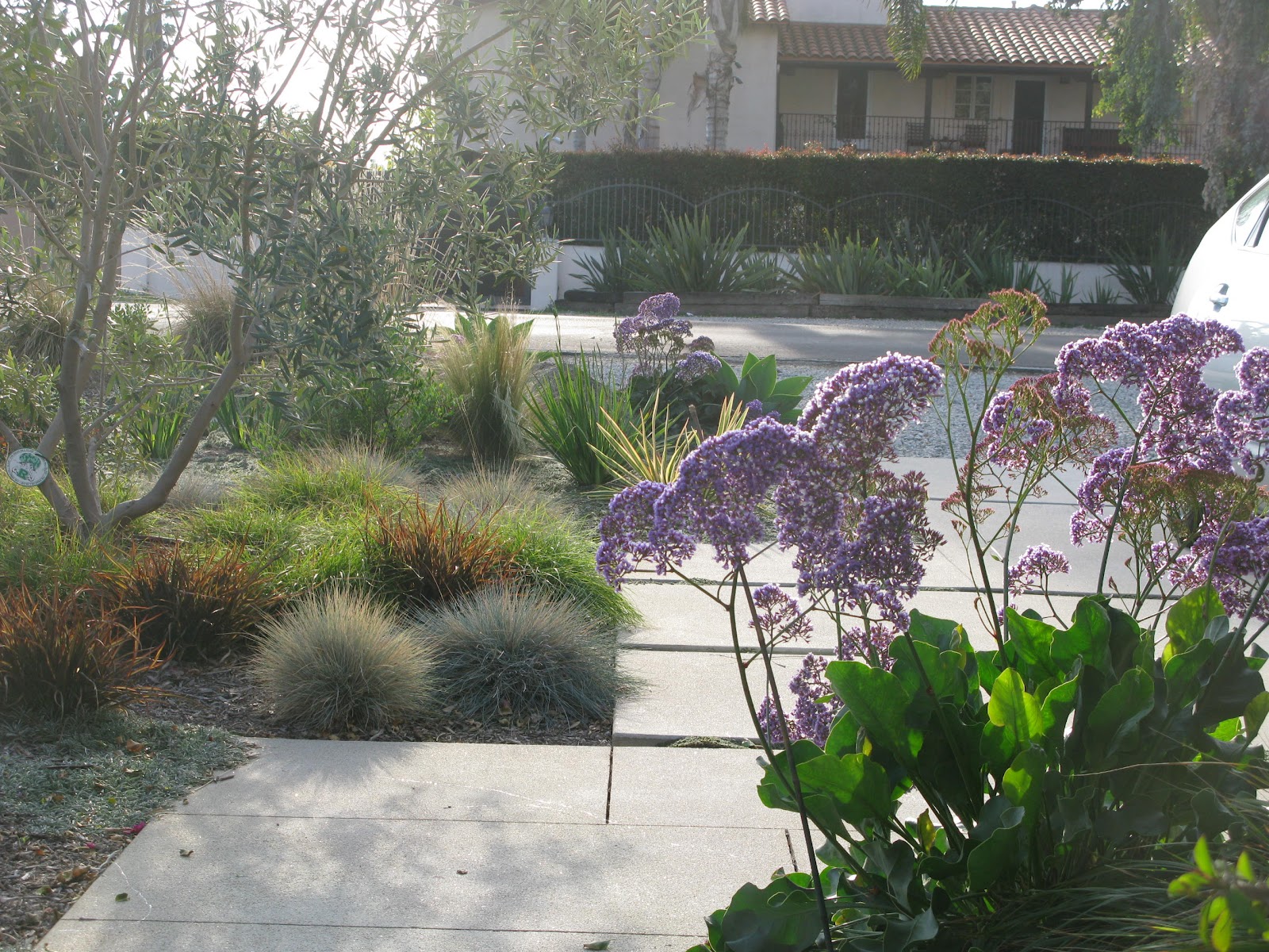 2018 Mar Vista Green Garden Showcase: 3464 Grand View Boulevard