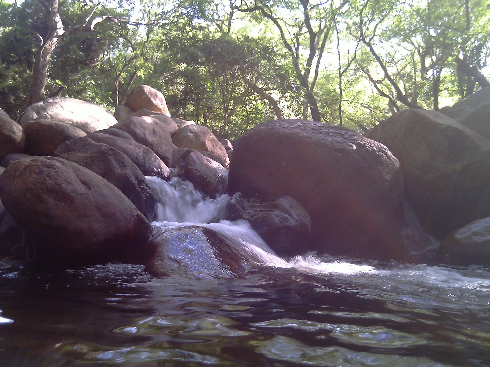 Zestily: Nambi Kovil, Tirunelveli. 08 May 2011